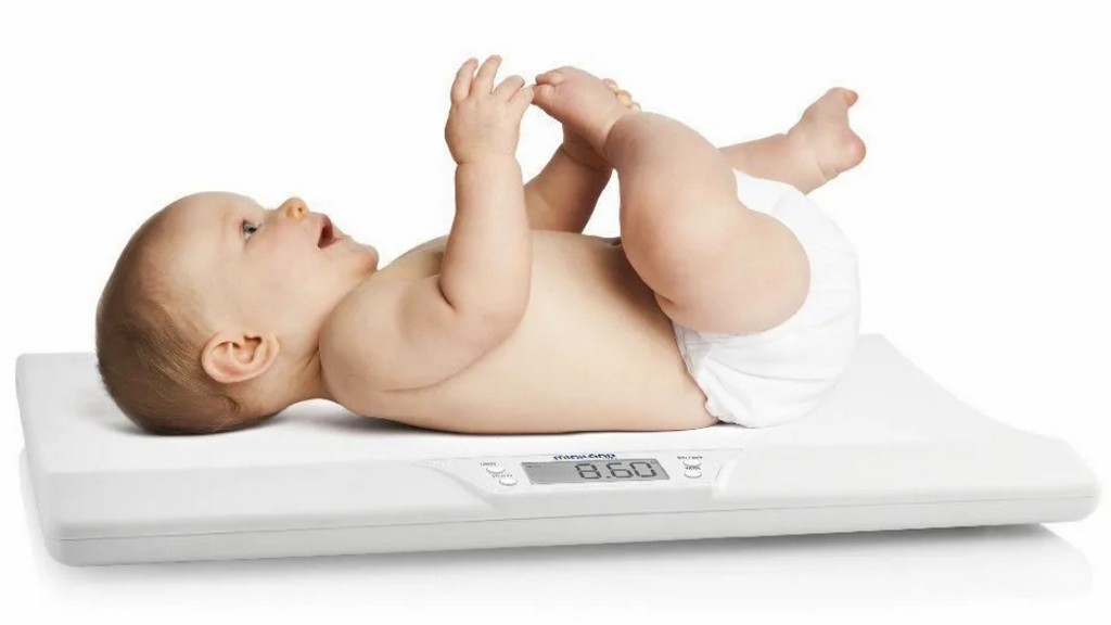 Digital Baby Scale