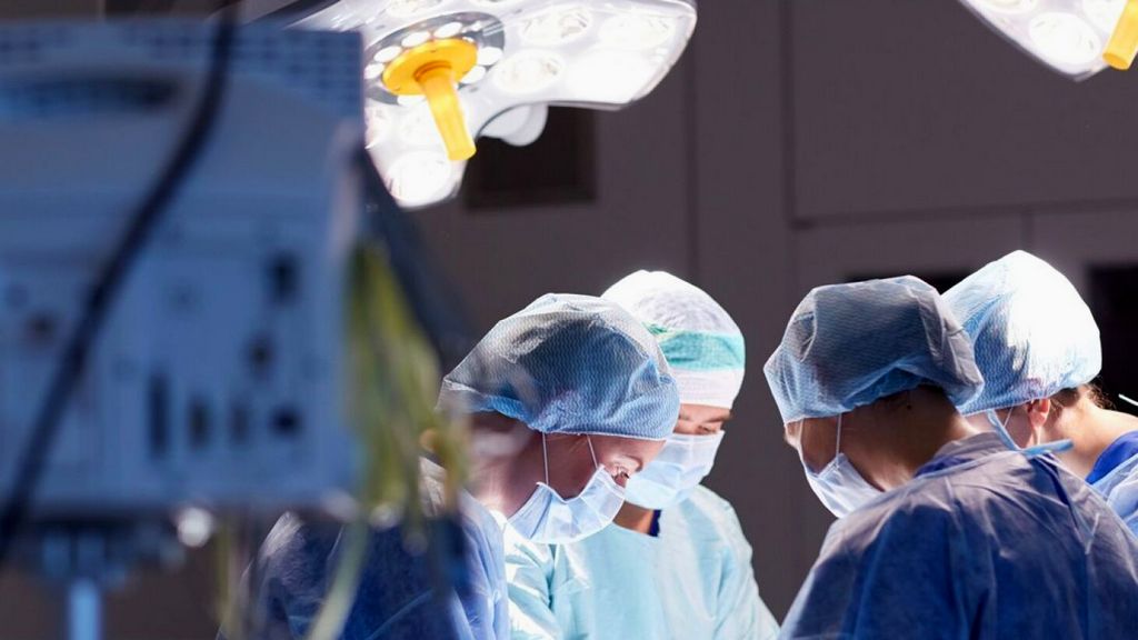 Fórceps - Fórceps Arterial Carmalt