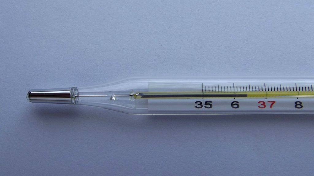 thermometers